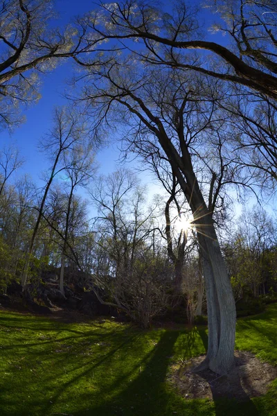 Rockwood park fotos de stock, imágenes de Rockwood park sin royalties ...