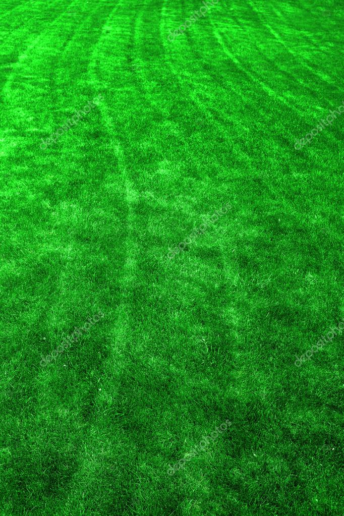 Césped verde con líneas de siega Crecimiento — Foto de stock © eric1513 ...