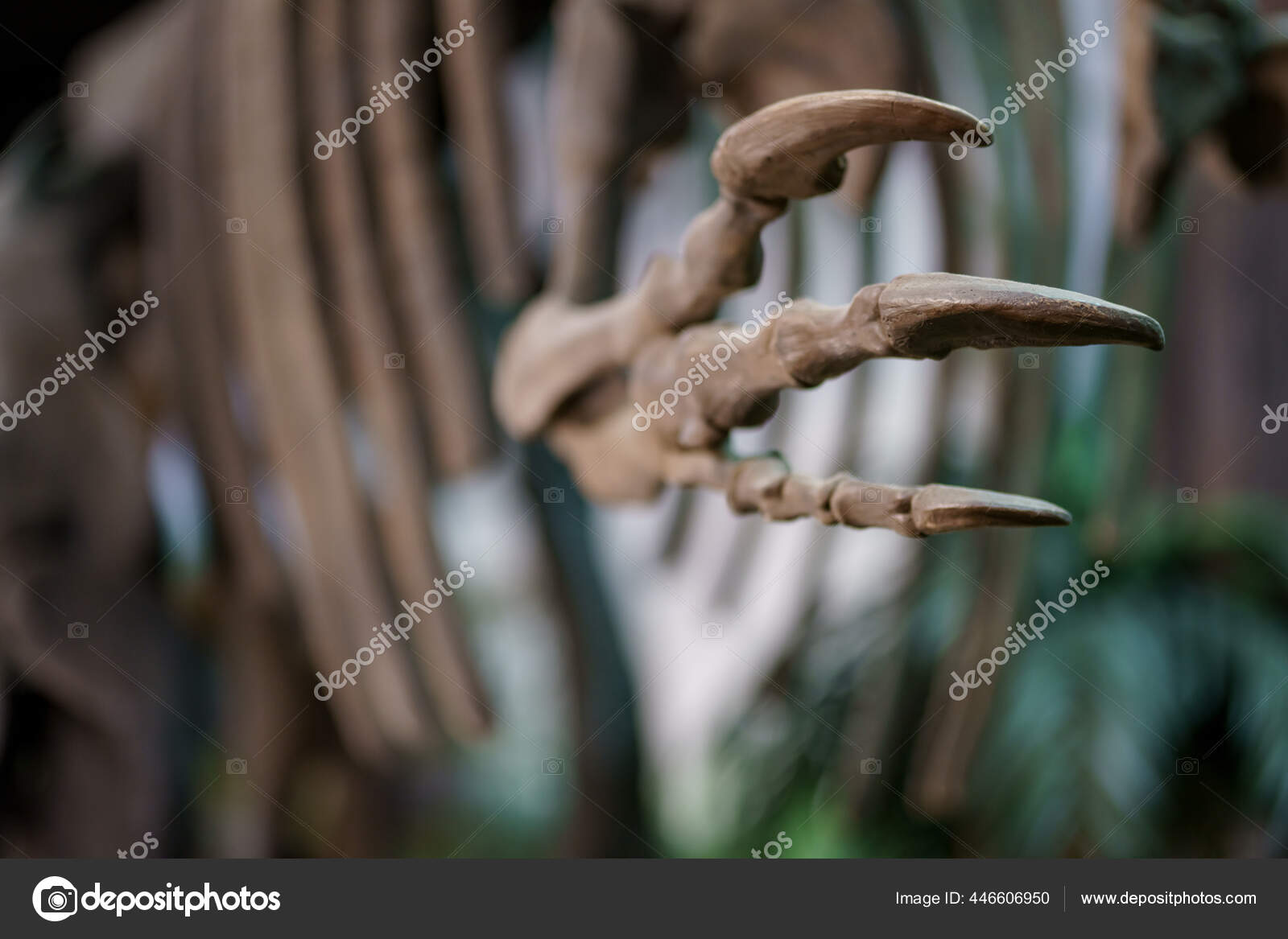 Dinosaur Predator Claws Blurry Background — Stock Photo © felixtm ...