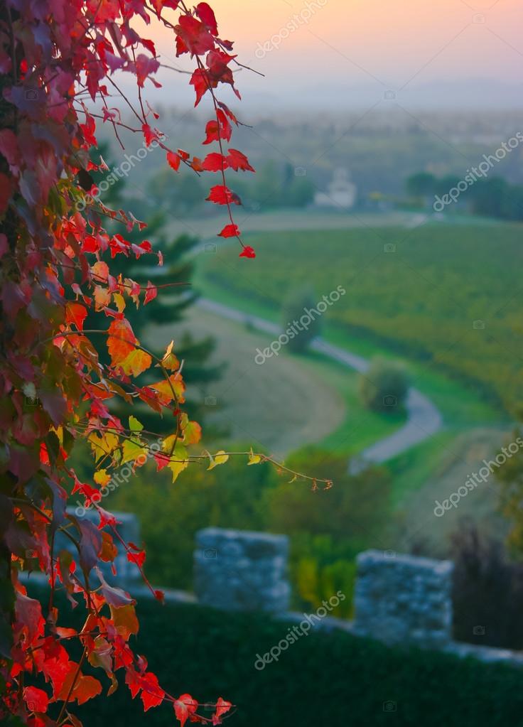 Red ivy on a castle Stock Photo by ©msavoia 59400211