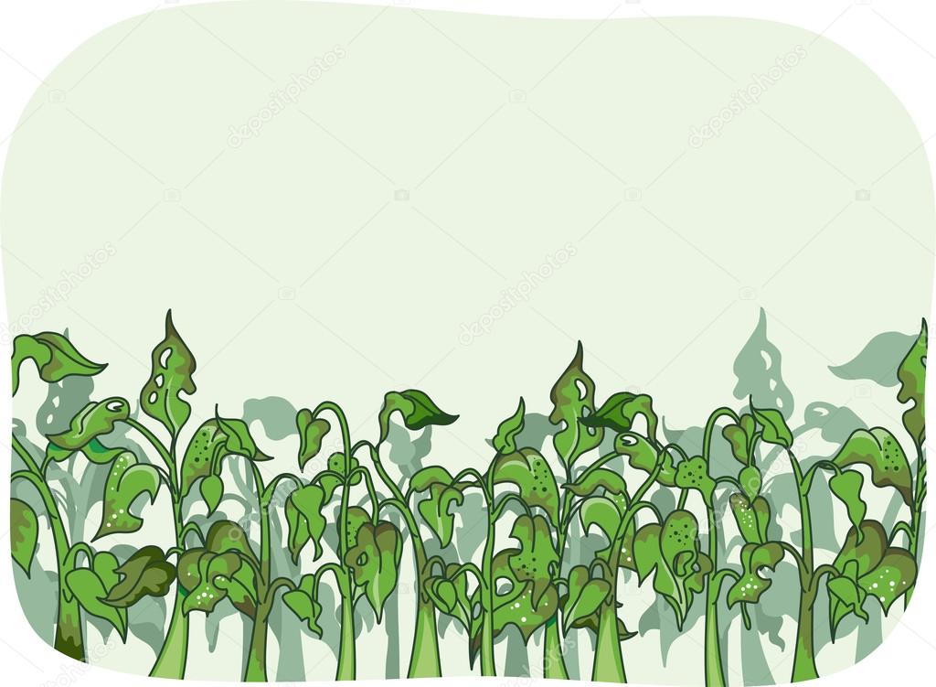 Plants Infested by Bugs — Stock Photo © lenmdp #58947109