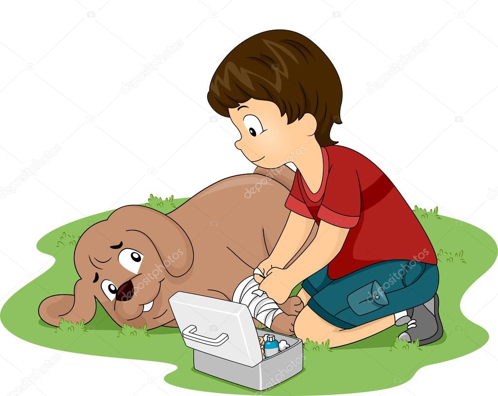 Dog First Aid Stock Illustration by ©lenmdp #58947285