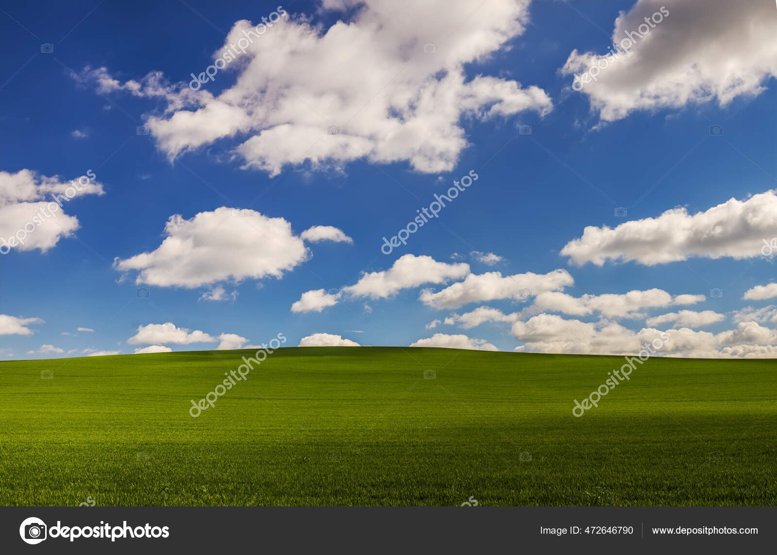 Windows Xp Background Original