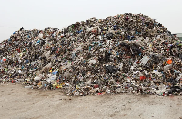 Rdf Stock Photos, Royalty Free Rdf Images | Depositphotos