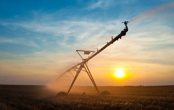 Irrigation system watering wheat field at summer sunset ⬇ Stock Photo ...