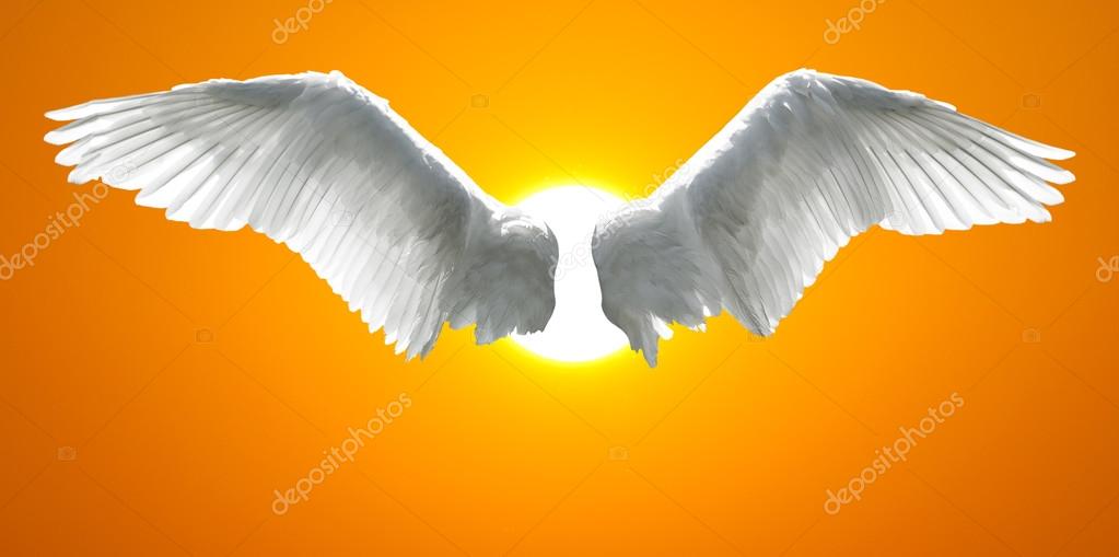Angel wings with background made of sunset sky and sun Stock Photo by ...