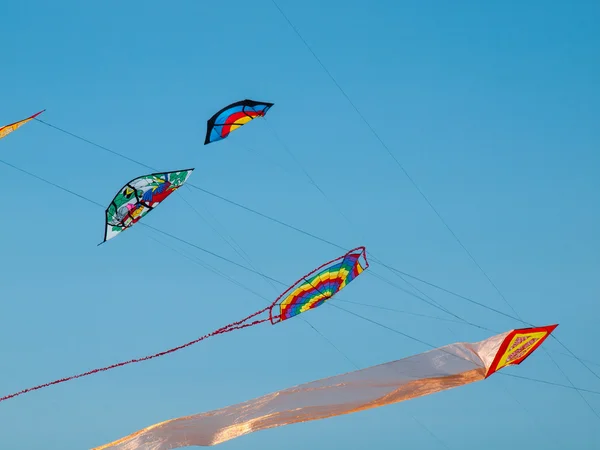Kite flying Images - Search Images on Everypixel