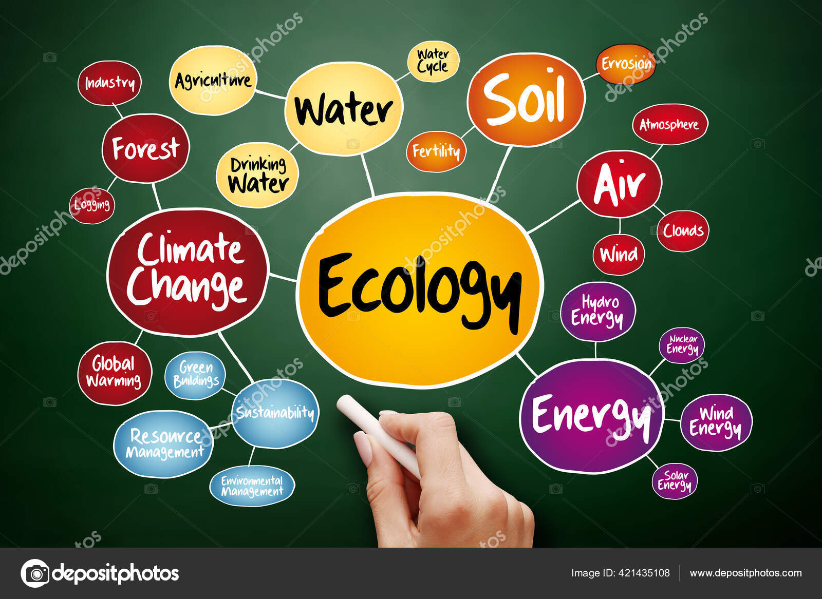 Ecology Mind Map Flowchart Concept Presentations Reports Blackboard ...