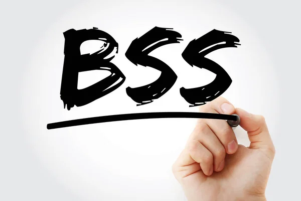 Bss Stock Photos & Royalty-Free Images | Depositphotos