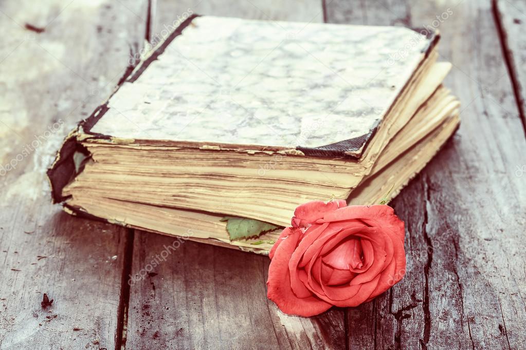 Libro Vintage Y Rosa Fotografía De Stock © Sovpag 52691797