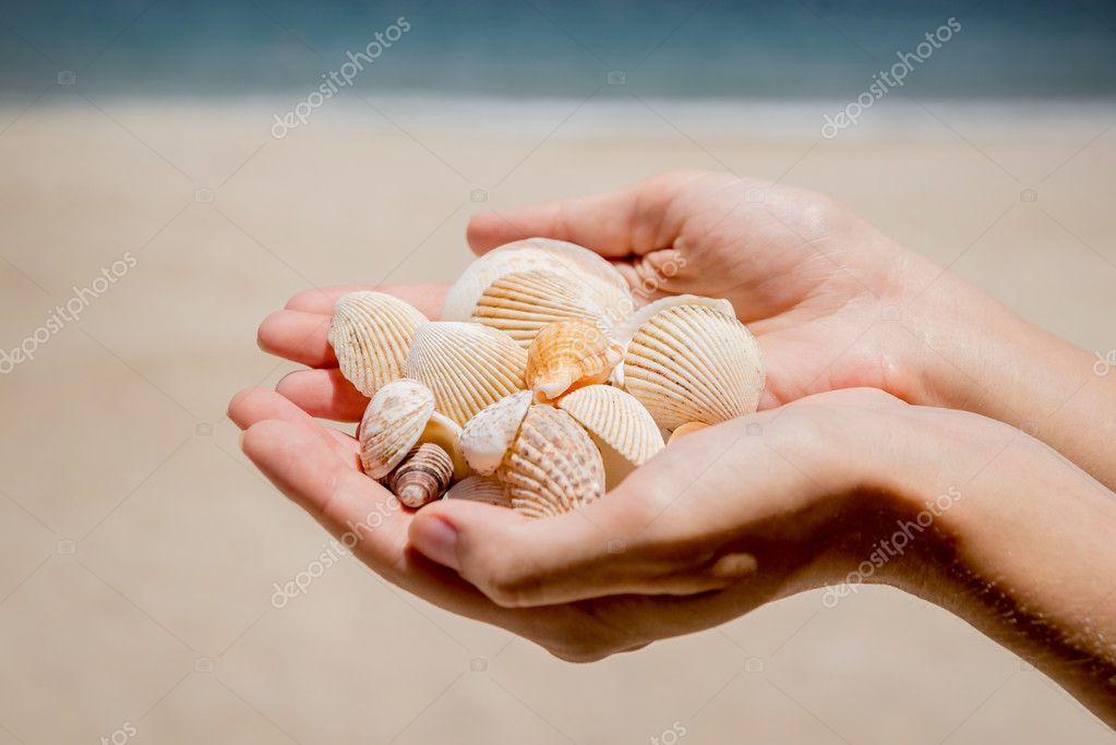 Collection of seashells at hands — Stock Photo © Romaset #97360150