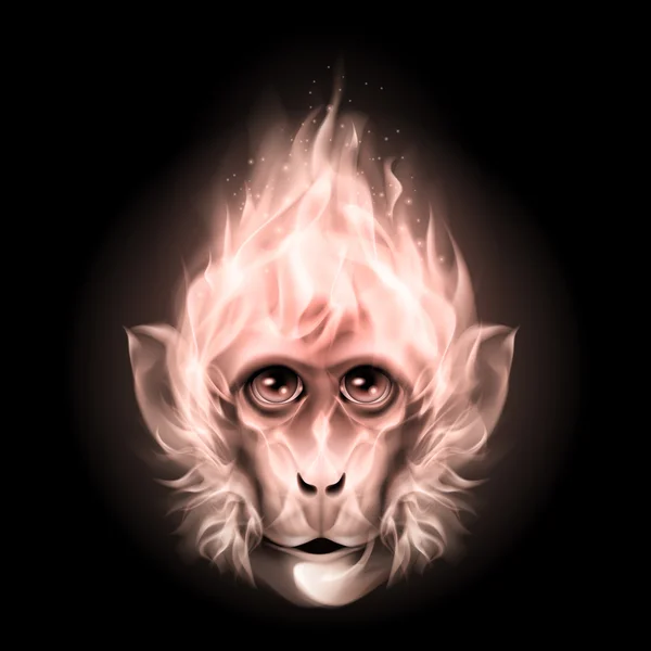 10,031,630 Monkey face fire Vector Images | Depositphotos