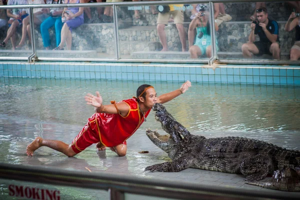 Crocodile show Stock Photos, Royalty Free Crocodile show Images ...