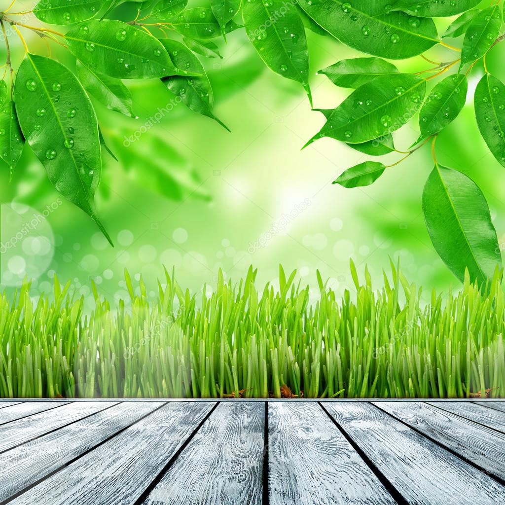 fond nature printemps avec de l'herbe — Photographie merznatalia ...