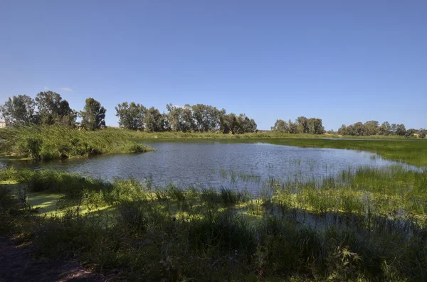 Hadera Stock Photos, Royalty Free Hadera Images | Depositphotos®