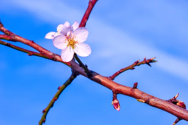 luckylia Portfolio: Stock Photos, Vectors, Video, Audio | Depositphotos