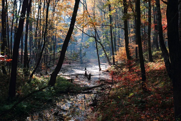 Brooklet Stock Photos, Royalty Free Brooklet Images | Depositphotos®