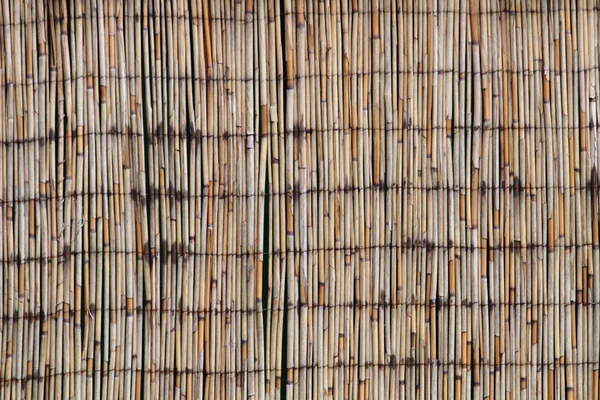 Cane roof texture — Stock Photo © stevanovicigor #19003631