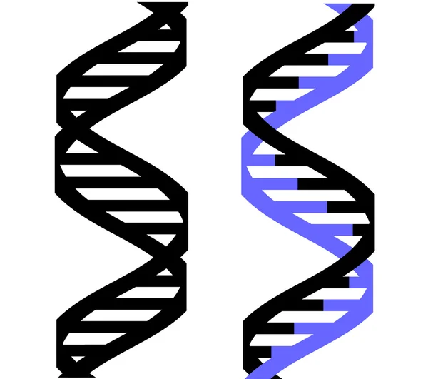 Dna symbol — Stock Vector © leonardo255 #63338775