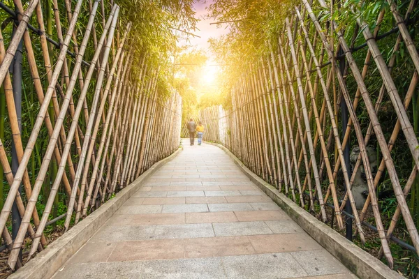 Bamboo walk Stock Photos, Royalty Free Bamboo walk Images | Depositphotos