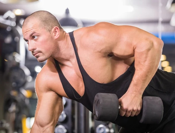 Bodybuilder at gym - Stock Image - Everypixel