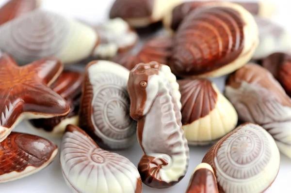 Sweets Made Milk Chocolate Sweets Form Sea Shellfish White Background ...