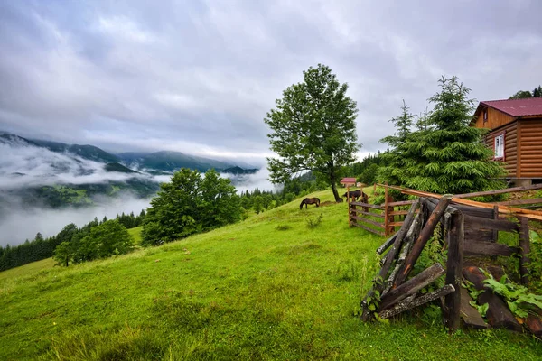 Splendid mountain valley is covered with fog after the rain. Hut in the ...