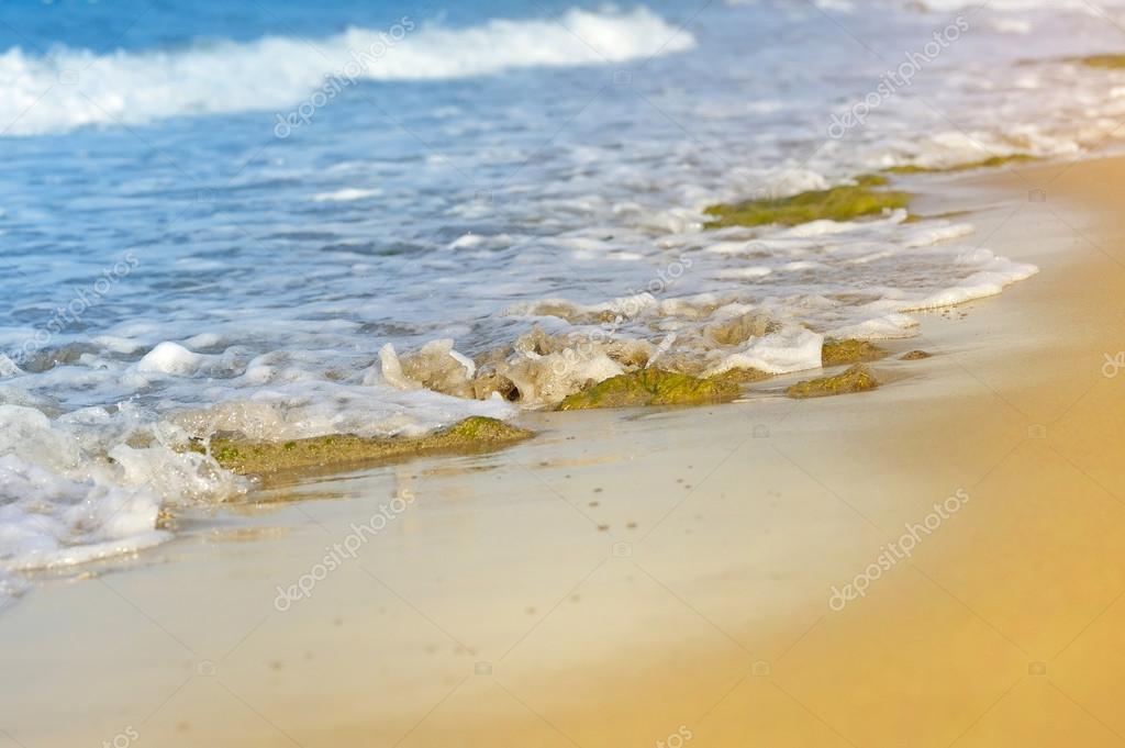 Shiny tropic sea wave on golden beach sand in sunset light Stock Photo ...