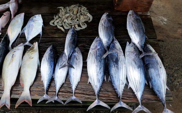 Tanji Stock Photos, Royalty Free Tanji Images | Depositphotos