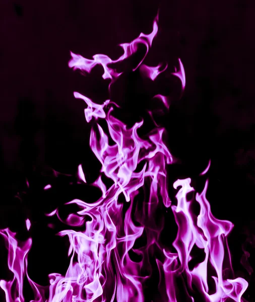 Real Purple Fire