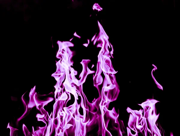 Real Purple Fire