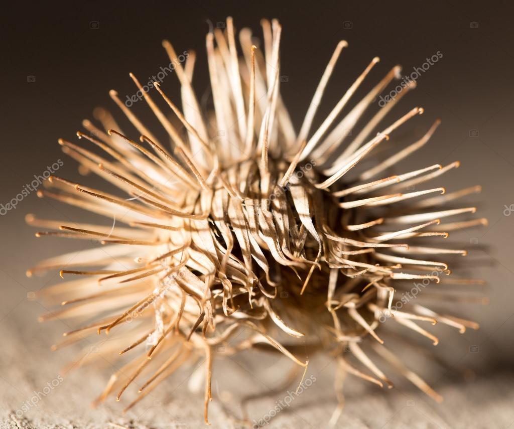 Object ⬇ Stock Photo, Image by © schankz #64768815