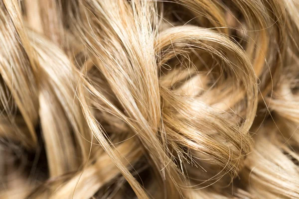 Moldy locks Stock Photos, Royalty Free Moldy locks Images | Depositphotos