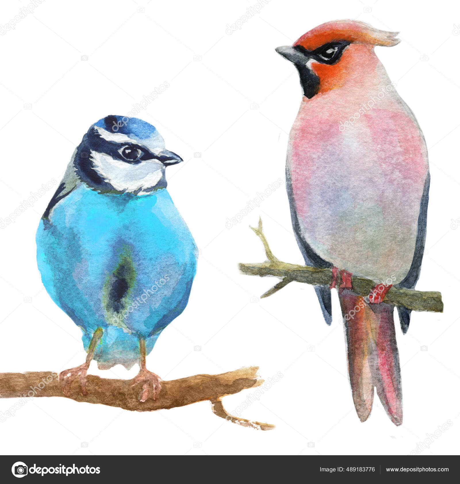 Set Two Small Birds Watercolor Hand Drawn Illustration Stock ...