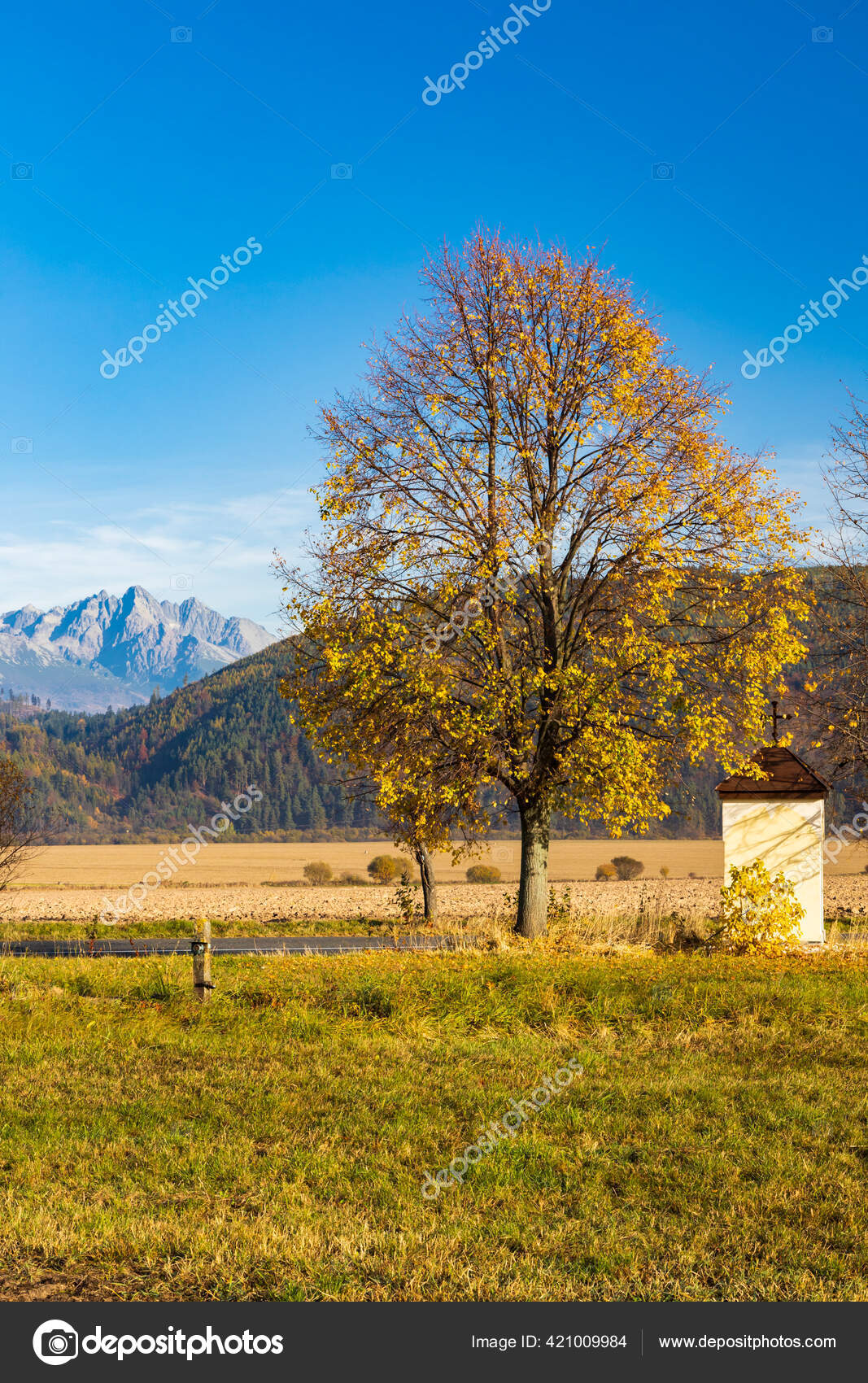 Chapel Tree Low Tatras Background High Tatras Slovakia Stock Photo by ...