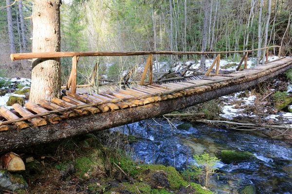 Single rope bridge — Stock Photo © Ansonde #2281639
