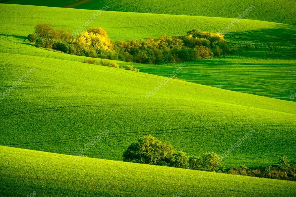 Green wavy hills in South Moravia Stock Photo by ©toxawww 113329546