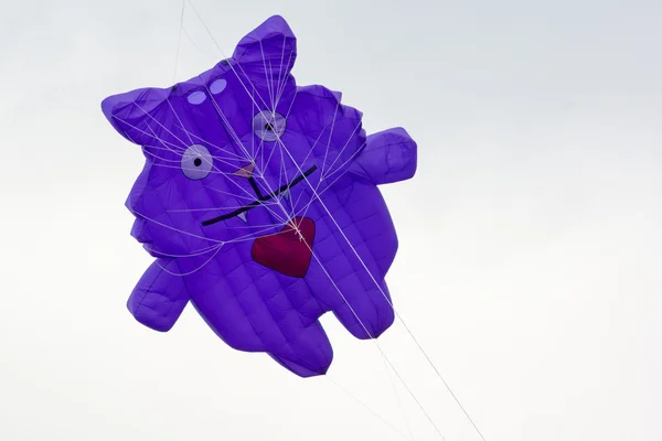 Cat kite Stock Photos, Royalty Free Cat kite Images | Depositphotos