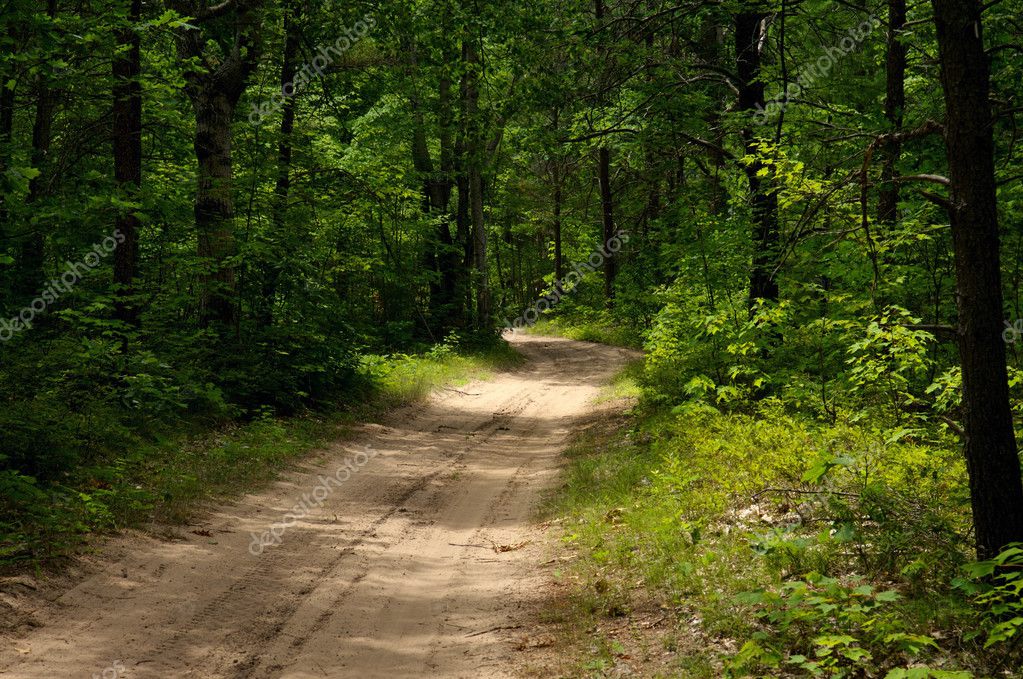 Old dirt road — Stock Photo © gregory21 #71284015