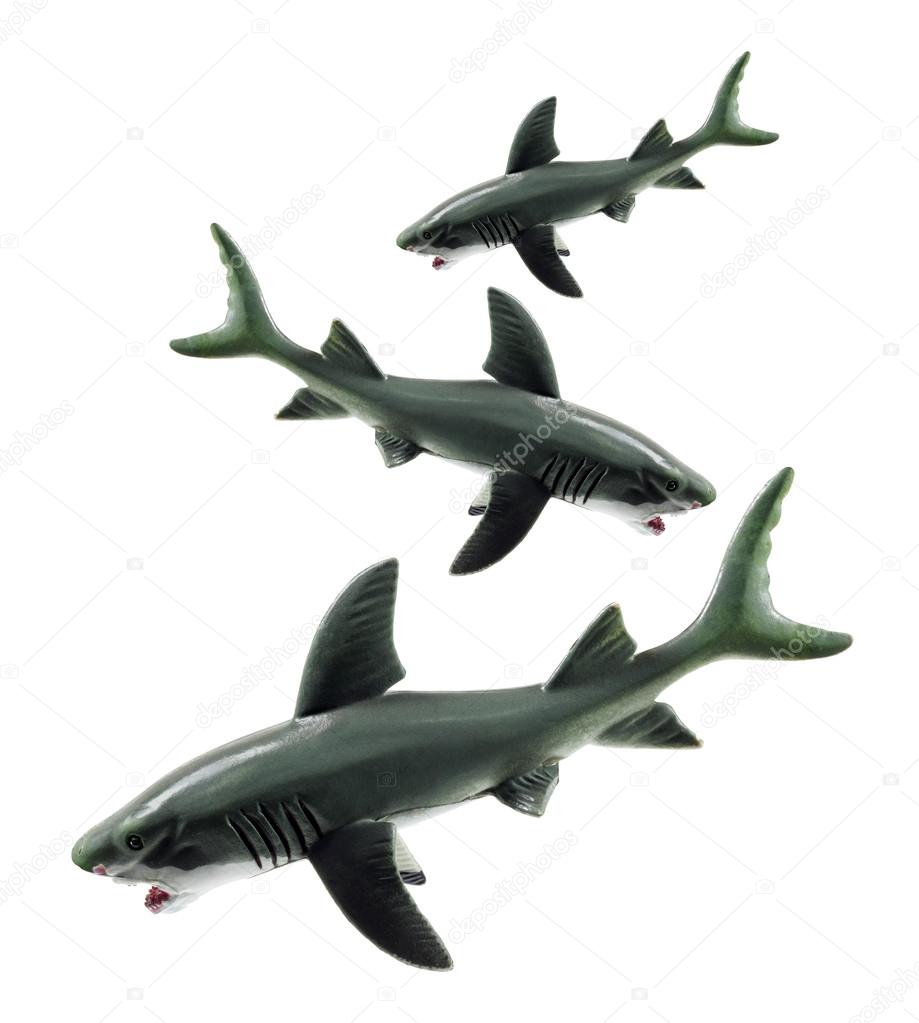 Multiple Rubber Sharks Stock Photo by ©newlight 103579818