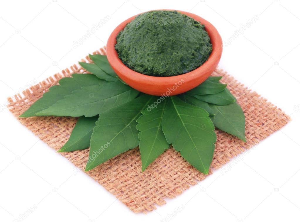 Vitex Negundo o Medicinal Nishinda hojas con pasta 2023