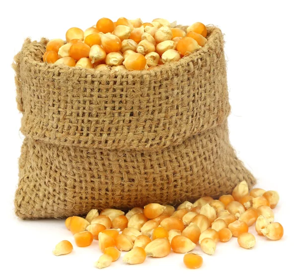 Corns in sack bag — Stock Photo © bdspn74 #62813207