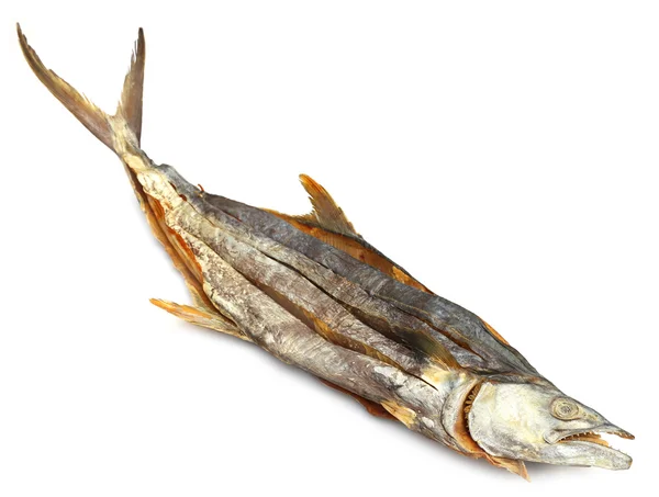 Bone fish skeleton Stock Photos, Royalty Free Bone fish skeleton Images ...