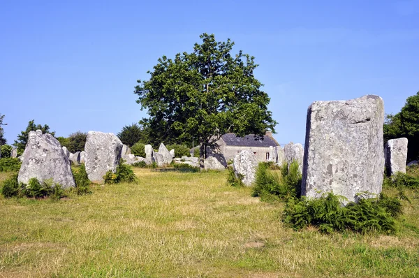 Normandy cementary Stock Photos, Royalty Free Normandy cementary Images ...
