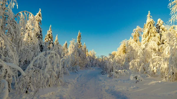 Coldest places on the planet Stock Photos, Royalty Free Coldest places ...