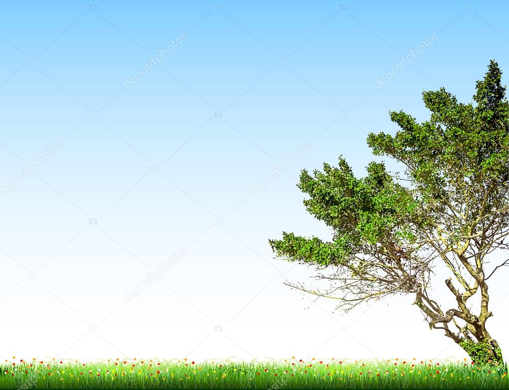 Tree Landscape with blue sky and grass. Vector background Stock Vector ...