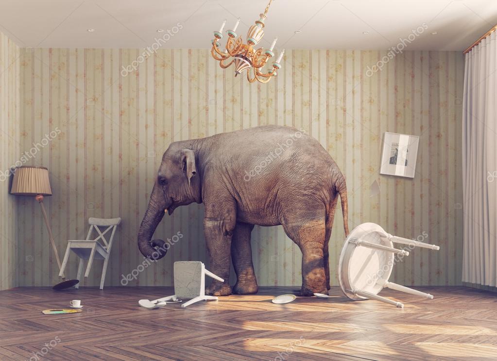 A elephant in a room — Stock Photo © vicnt2815 #88648818