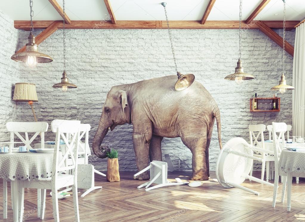 Elephant calm in a restaurant interior — Stock Photo © vicnt2815 #88648906