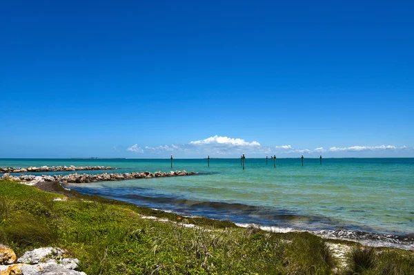 Florida inland Stock Photos, Royalty Free Florida inland Images ...