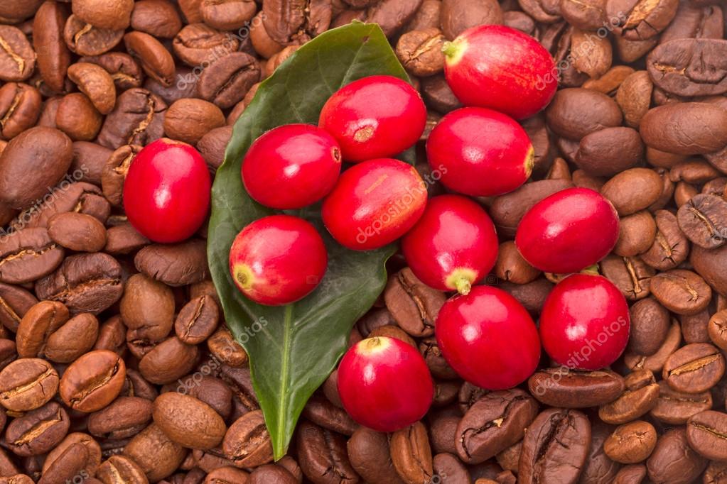 Red berries and roasted coffee beans — Stock Photo © ra3rn_ #99941558